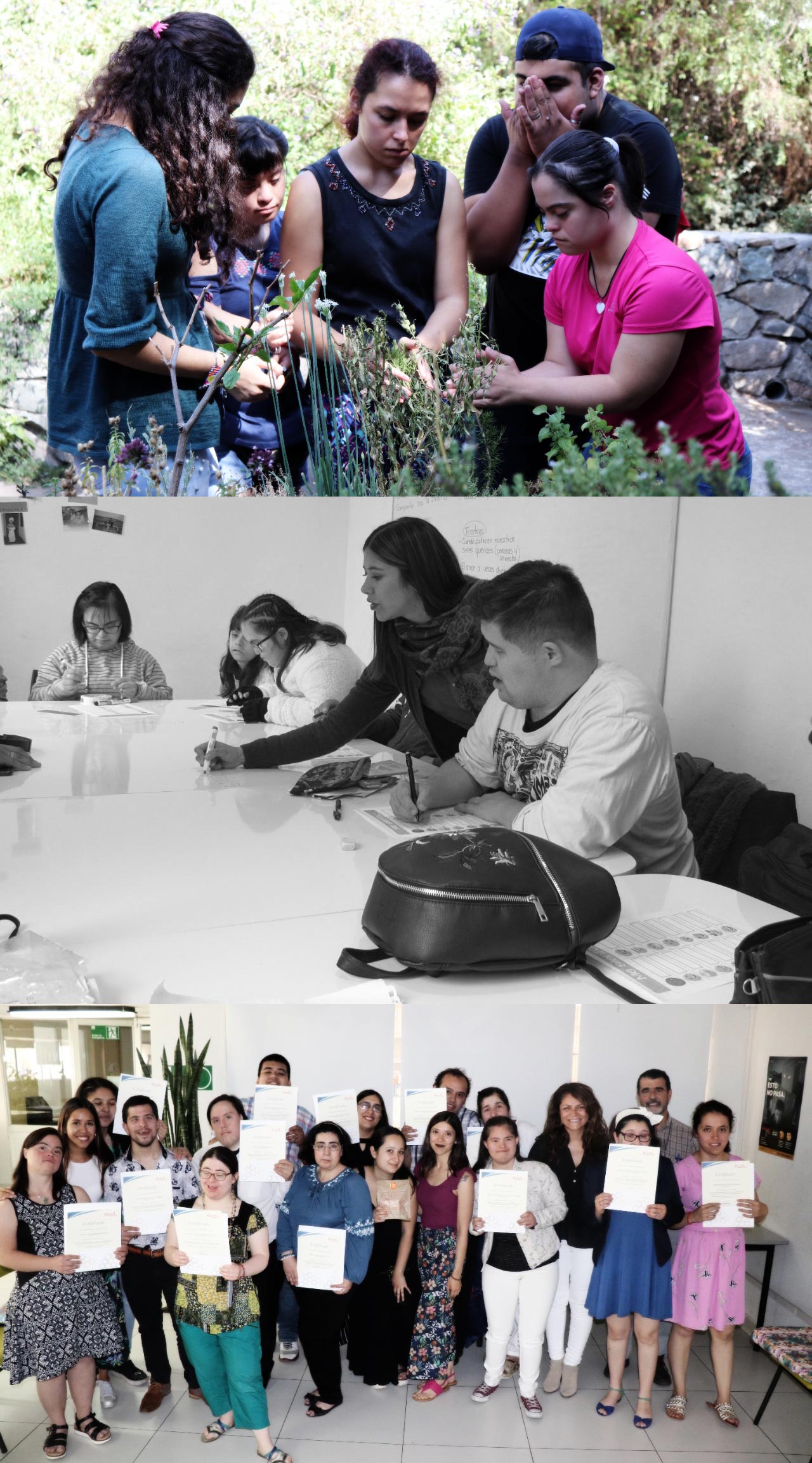 Formación APM – Corporación APM